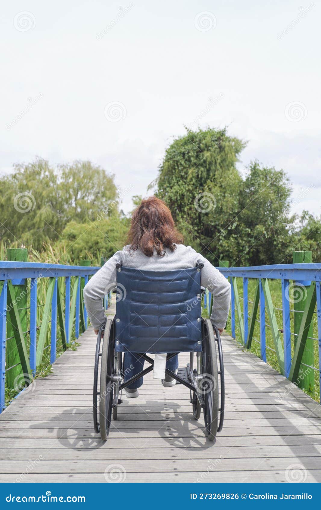 Back View of an Unknown Woman Strolling in a Wheelchair, Outdoors Stock ...
