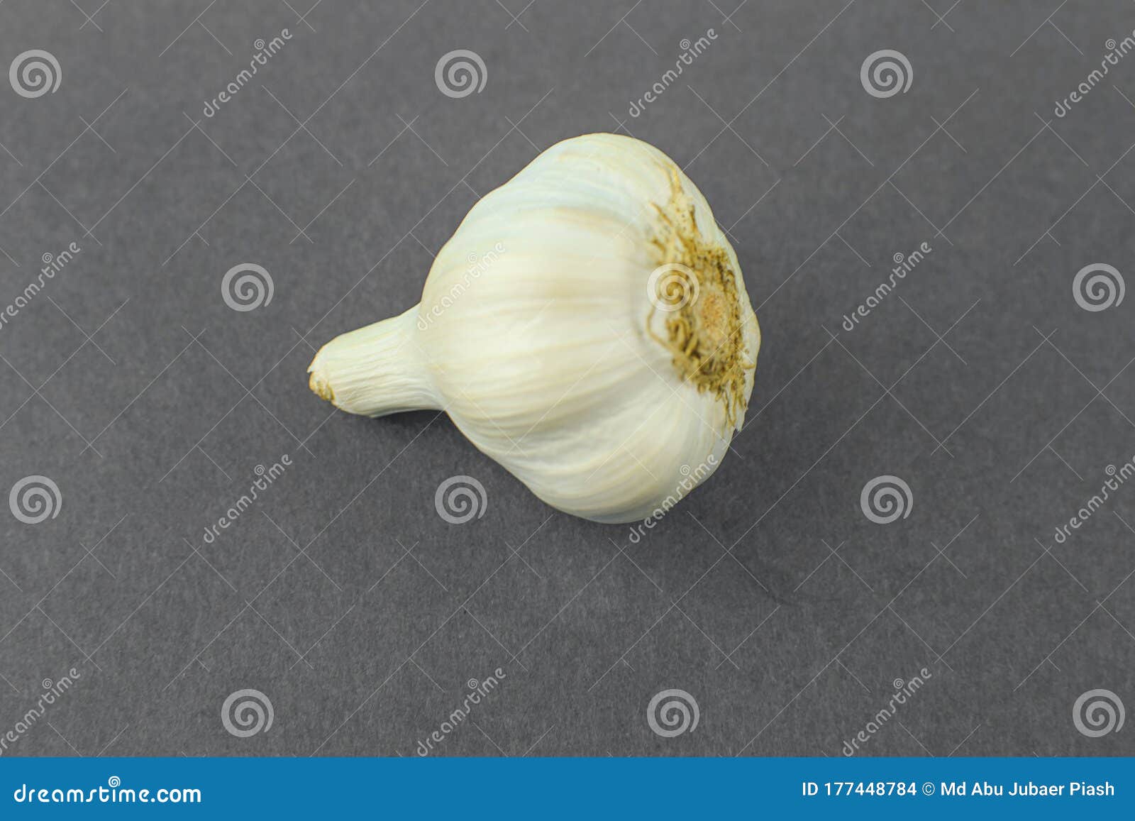 Back View of a White Colored Medium Size Garlic in Front a Dark ...