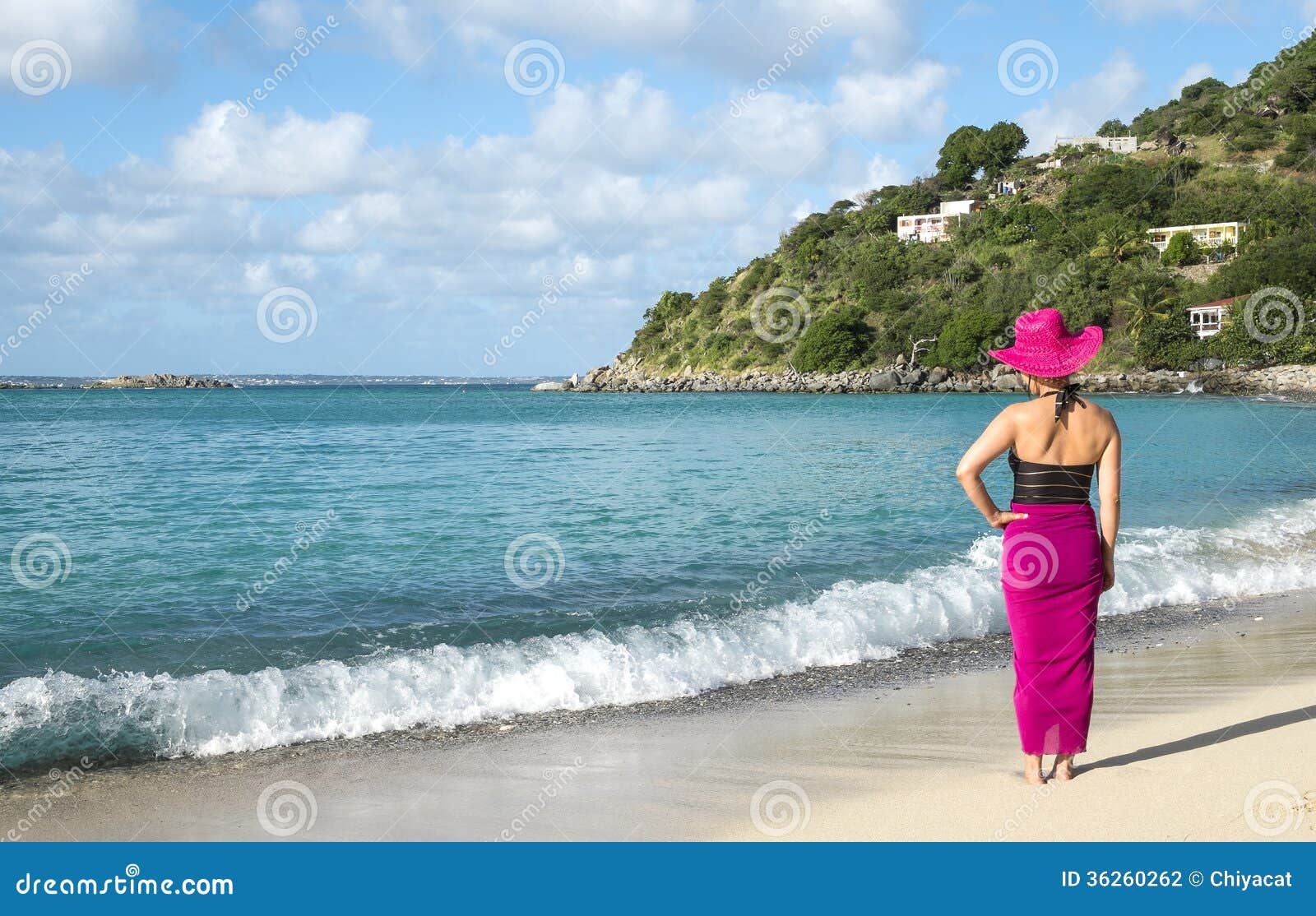 Back View of a Woman Standing on the Beach 1 Stock Photo - Image of ...