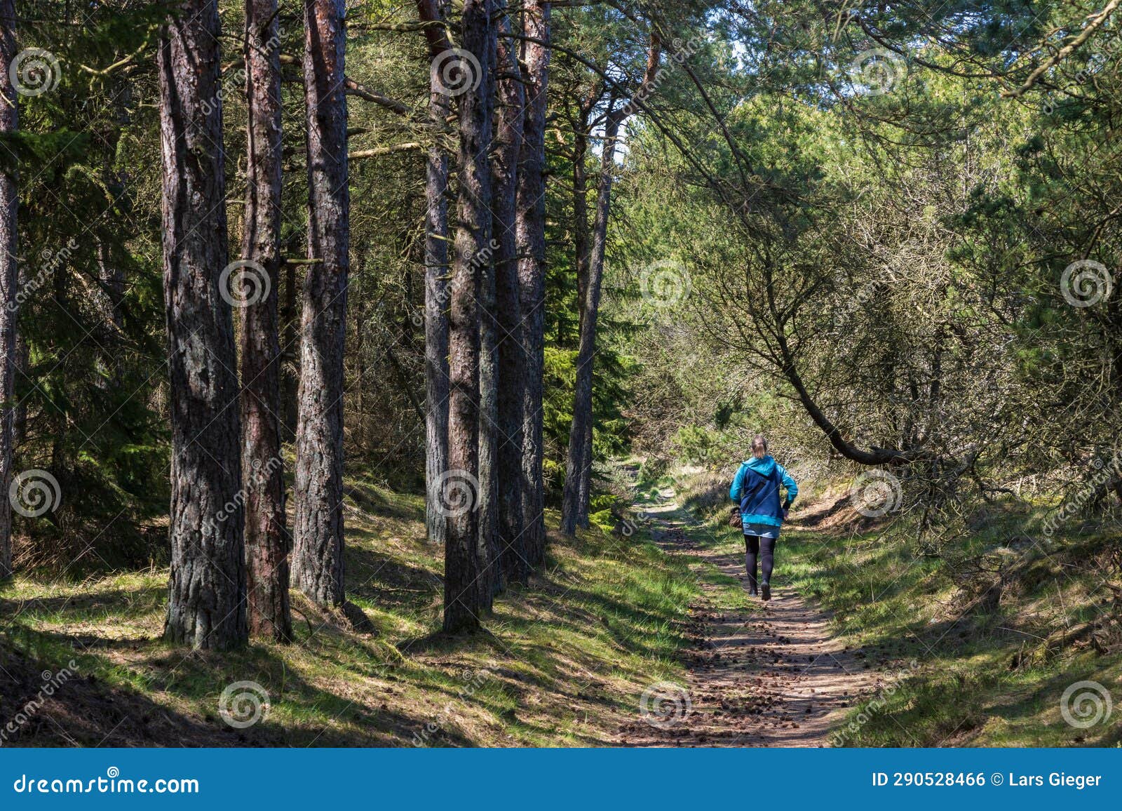 Back View of a Woman Walking on a Beautiful Forest Path Stock Photo ...