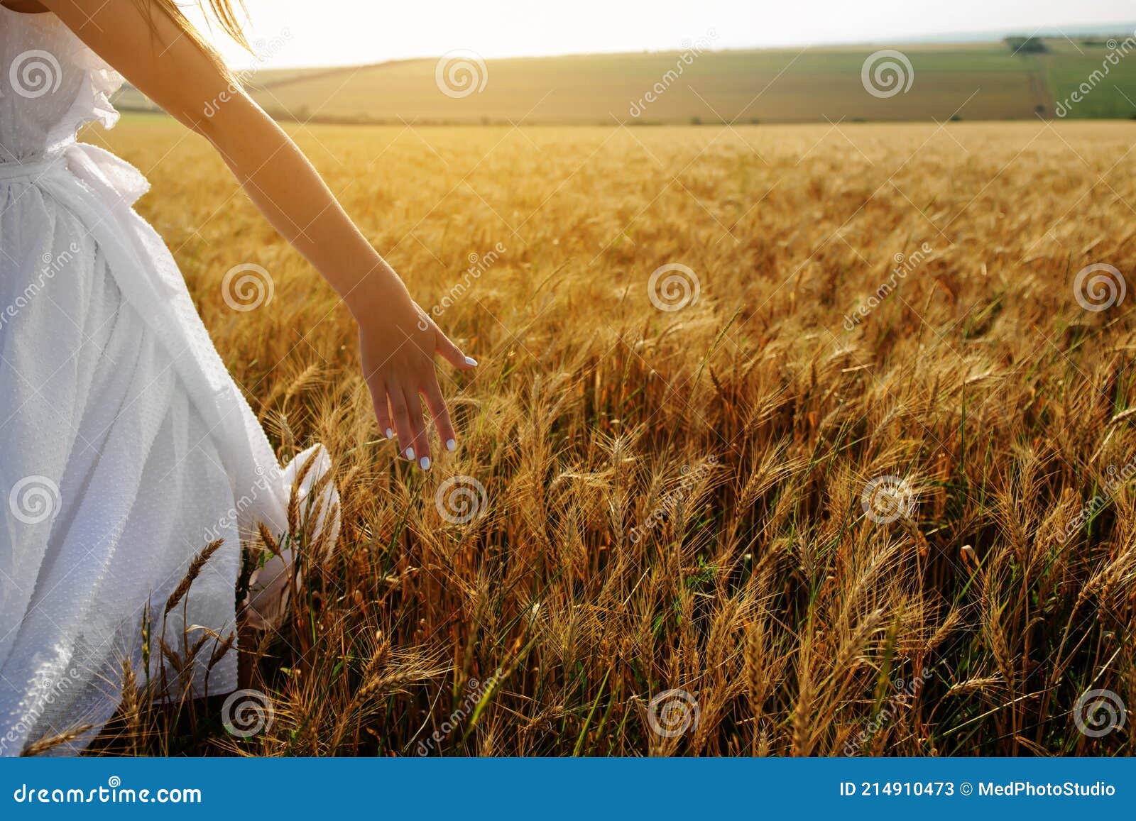 View of a Woman in White Dress in Wheat Field Stock Image - Image of ...