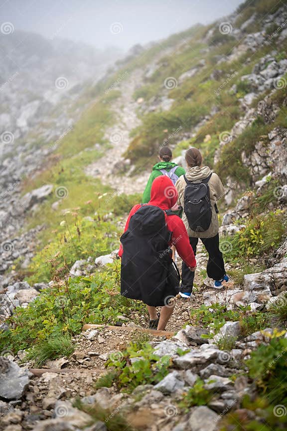 Back View of Young Hikers with Backpacks Walking in the Mountains Stock ...