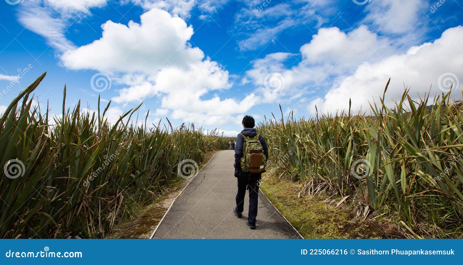 Back View Young Man in Blue Warm Clothes Slowly Walking through Pathway ...