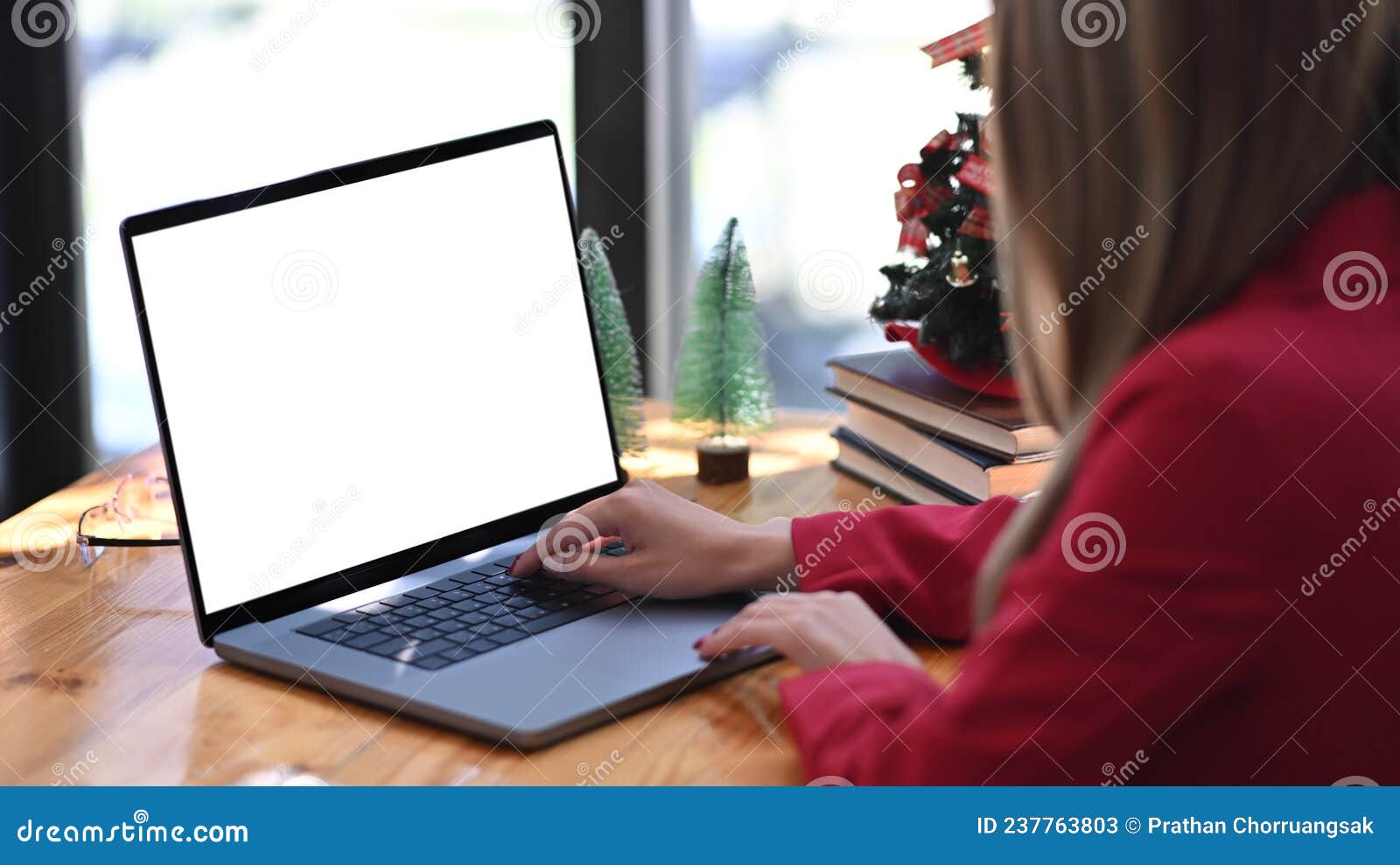 Back View of Woman Entrepreneur Working with Laptop Computer. Stock ...