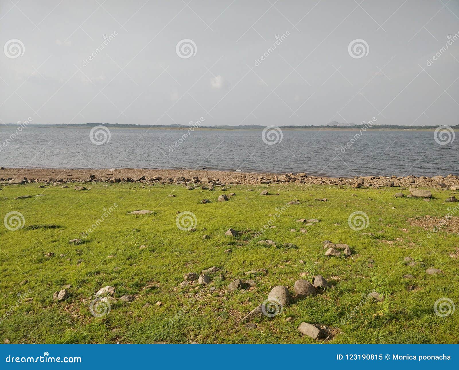 Back water stock image. Image of beautiful, water, attractive - 123190815