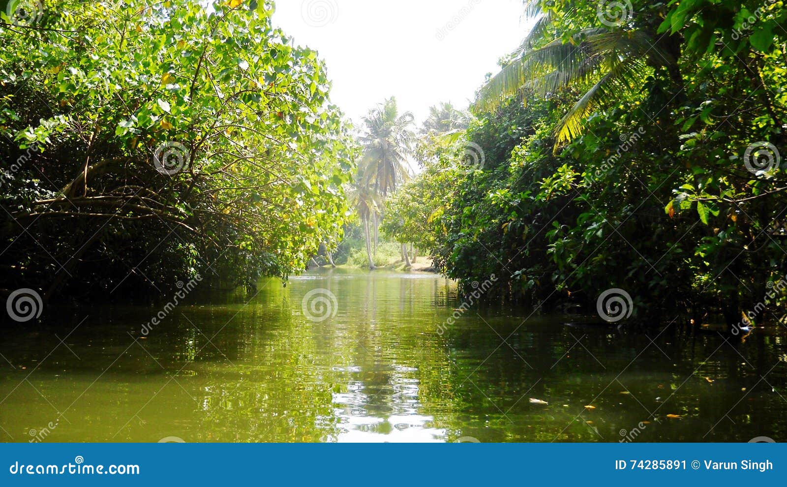 Back water stock image. Image of india, back, garden - 74285891