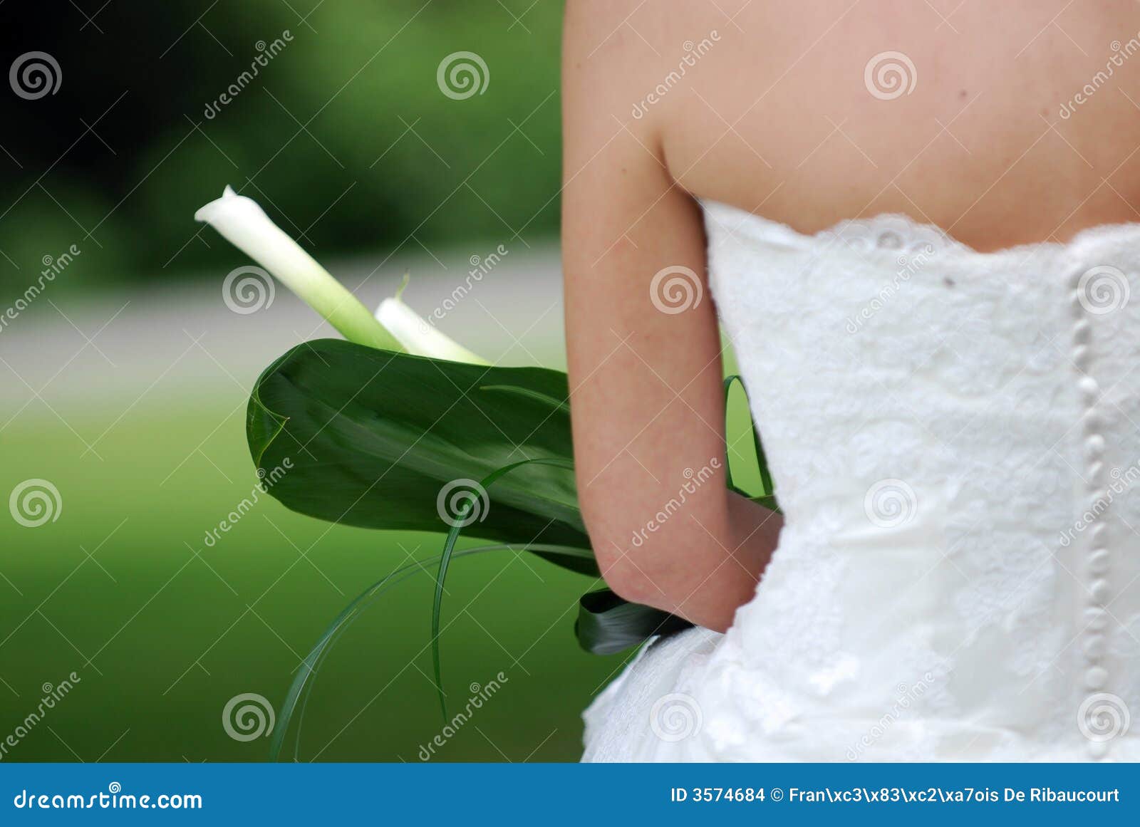 Back of wedding dress stock photo. Image of lace, caucasian - 3574684