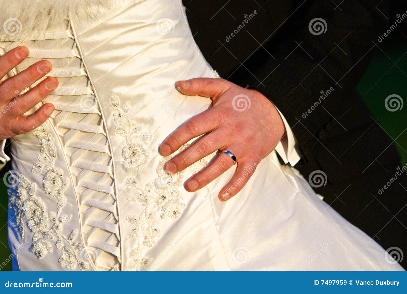 Back of Wedding Dress with Ring Showing Stock Image - Image of golden ...