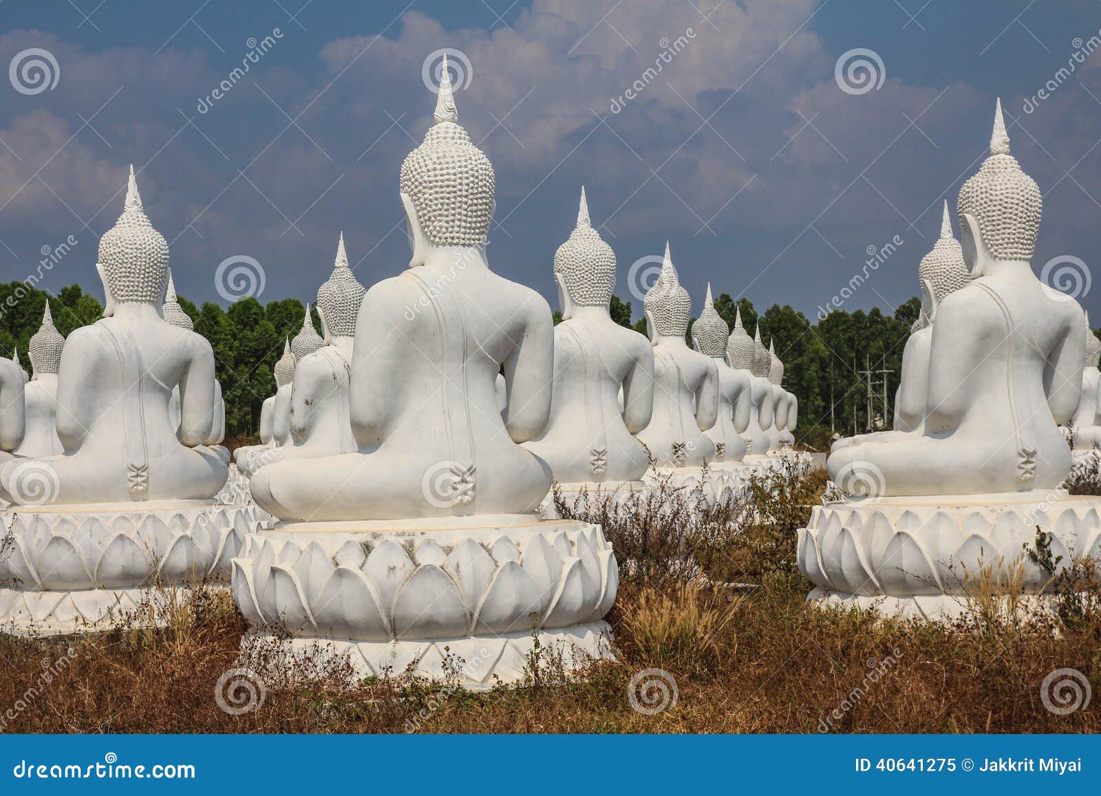 The back of White Budda stock image. Image of religion - 40641275