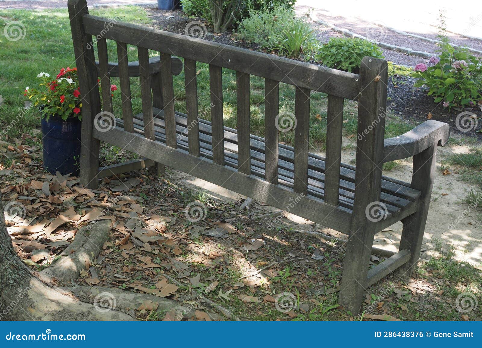This is the Back of a Wooden Bench Under a Tree. Stock Photo - Image of ...