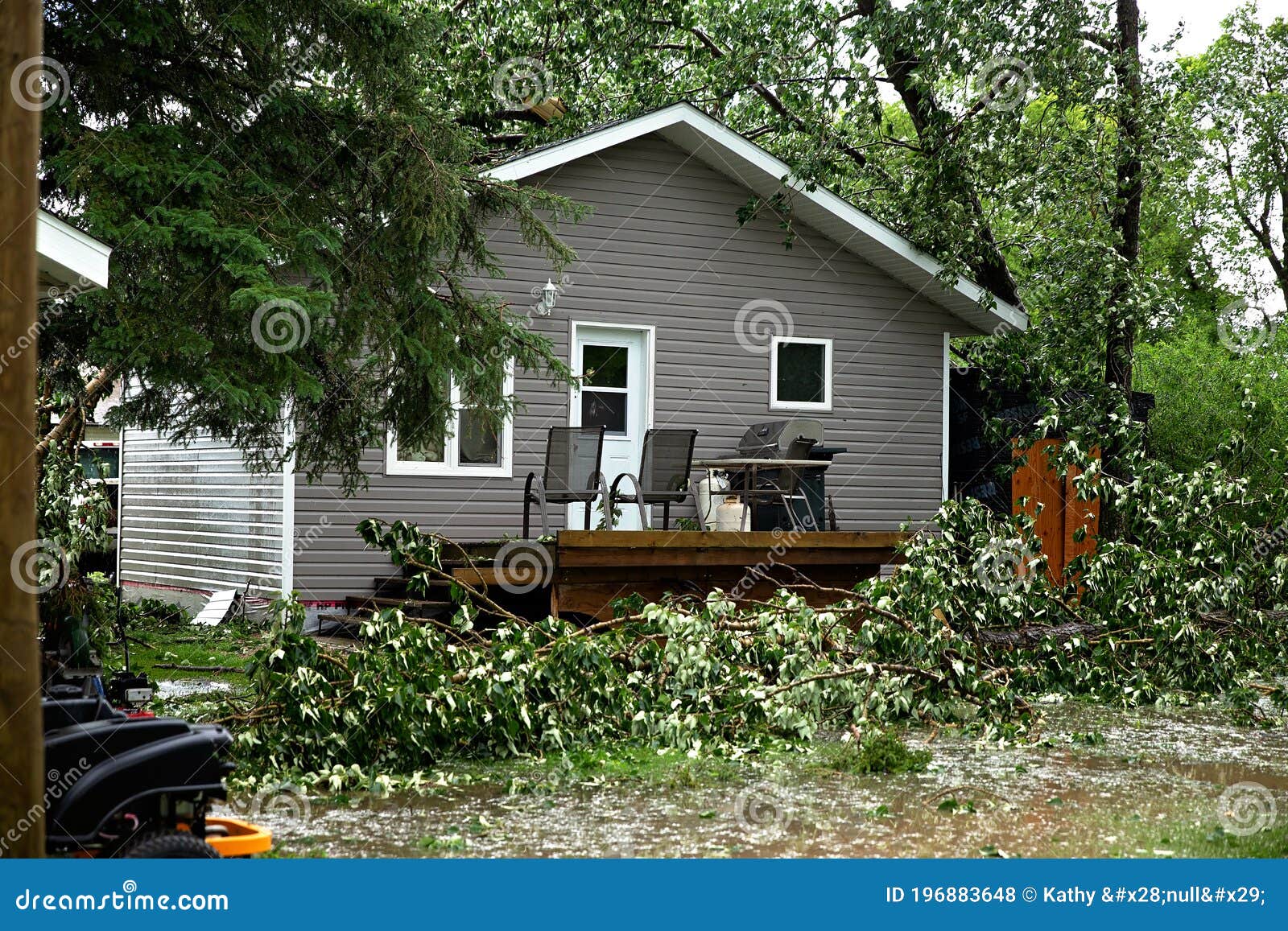 Fallen Trees in the Backyard from a Storm Stock Photo - Image of water ...