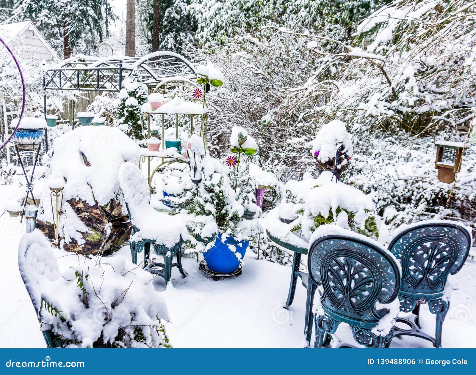 Back Yard in Snow 2 stock photo. Image of white, back - 139488906