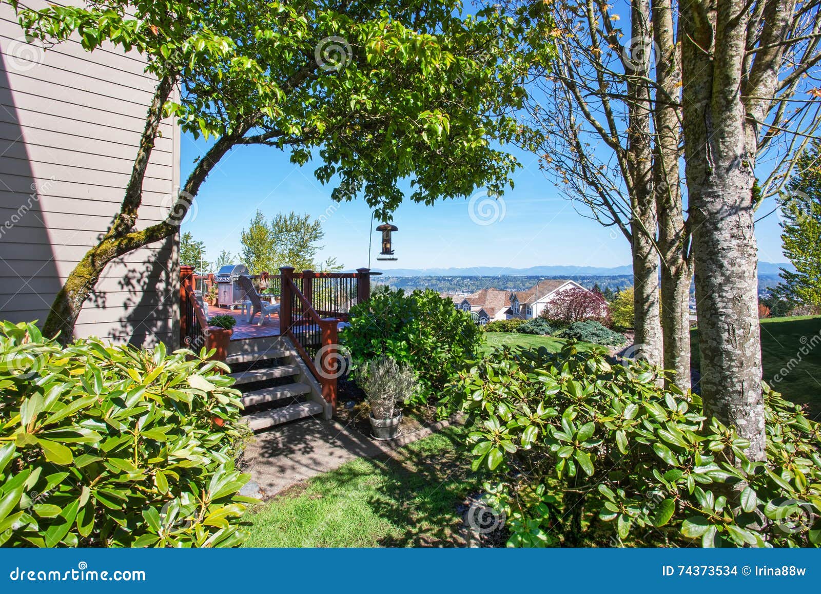 Back Yard with Lots of Greenery, Shrubs, Trees and Nice View. Stock ...