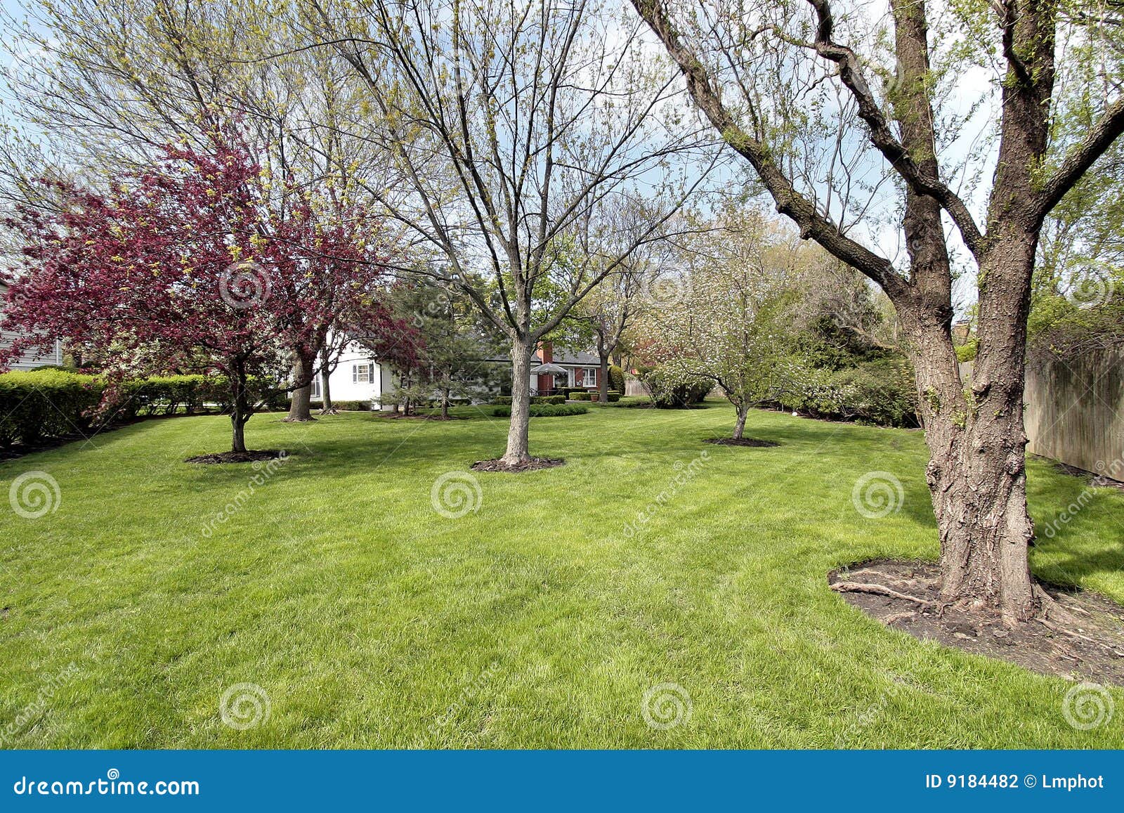 Back yard in spring stock photo. Image of residence, house - 9184482