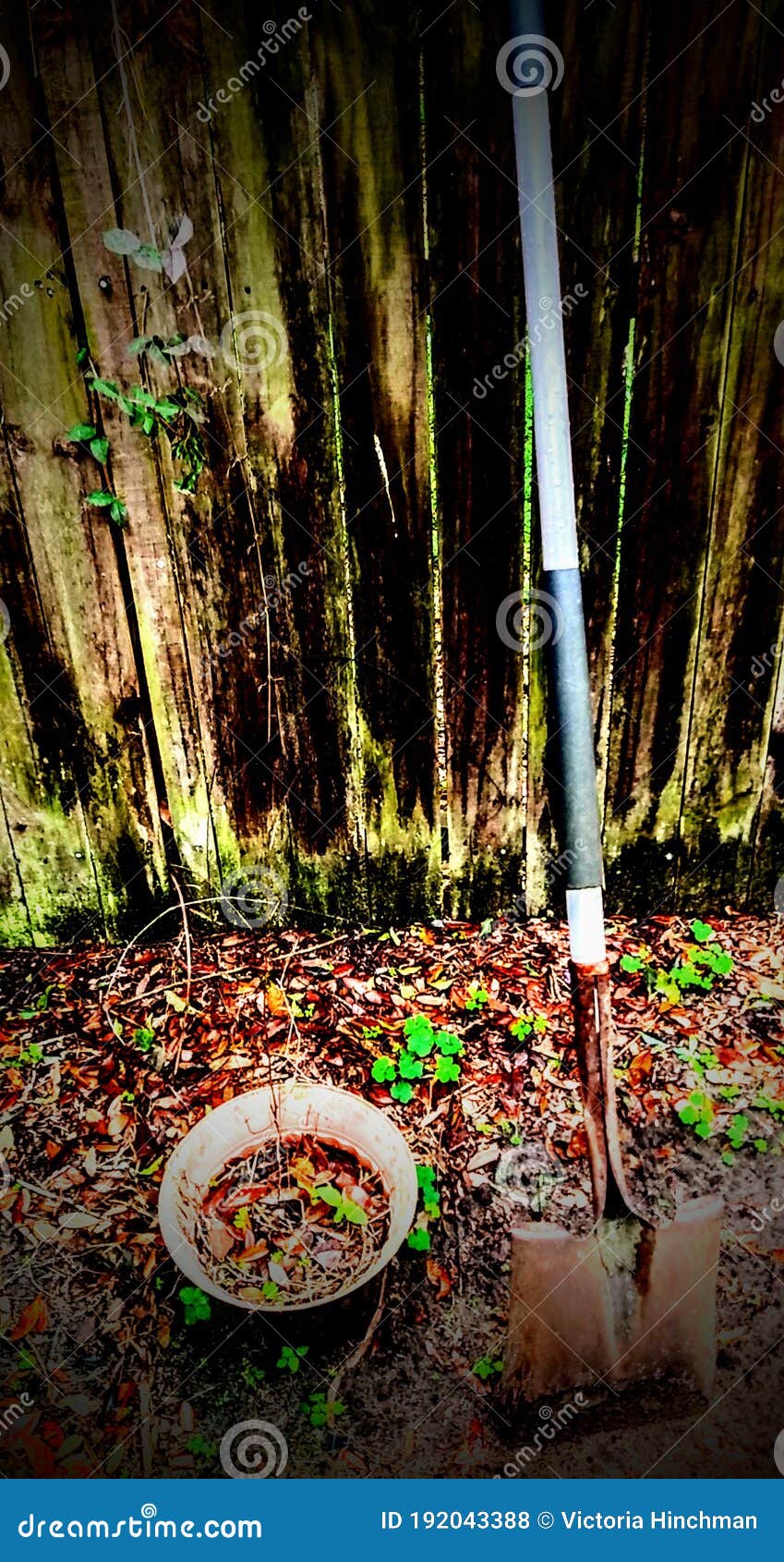 Back yard work stock photo. Image of yard, garden, nature - 192043388