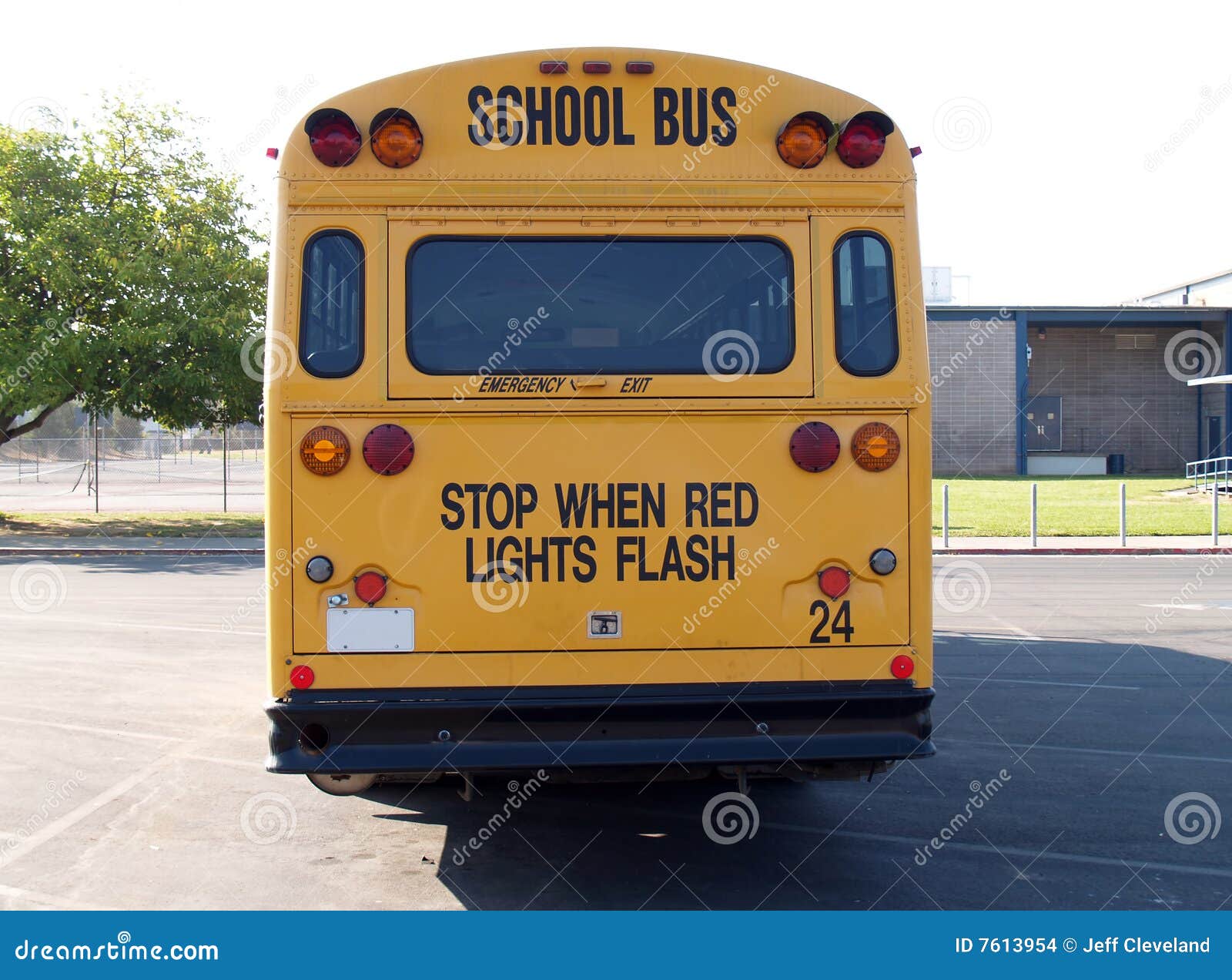 School Bus Inside Back