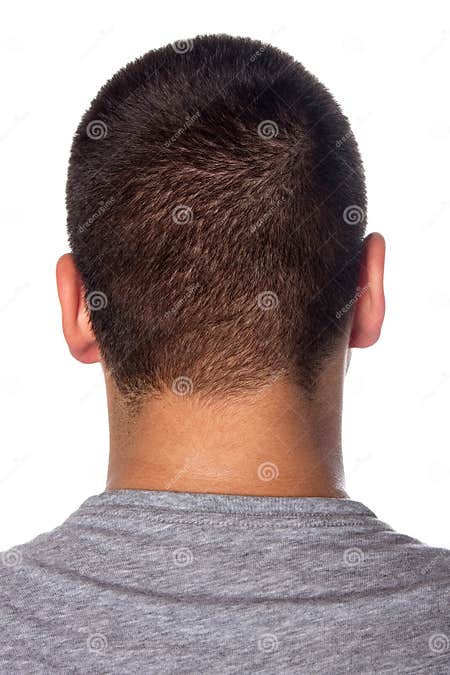 Back of a Young Mans Head stock photo. Image of haired - 18529720