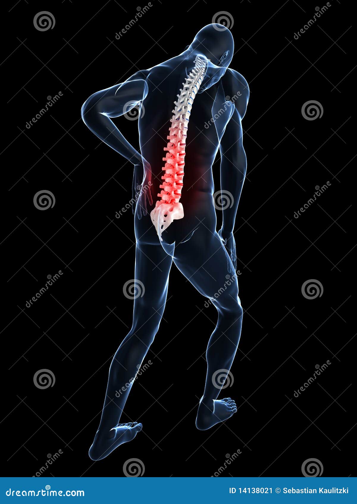 Backache stock illustration. Illustration of spinal, biology - 14138021