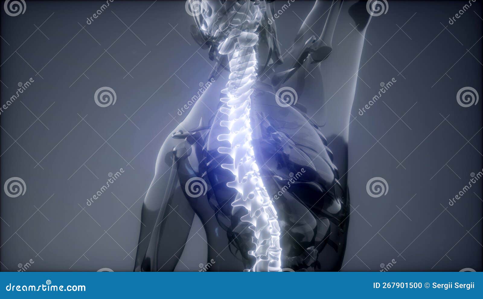 Old Man And Backache. Bones Of Spine Cartoon Vector | CartoonDealer.com ...