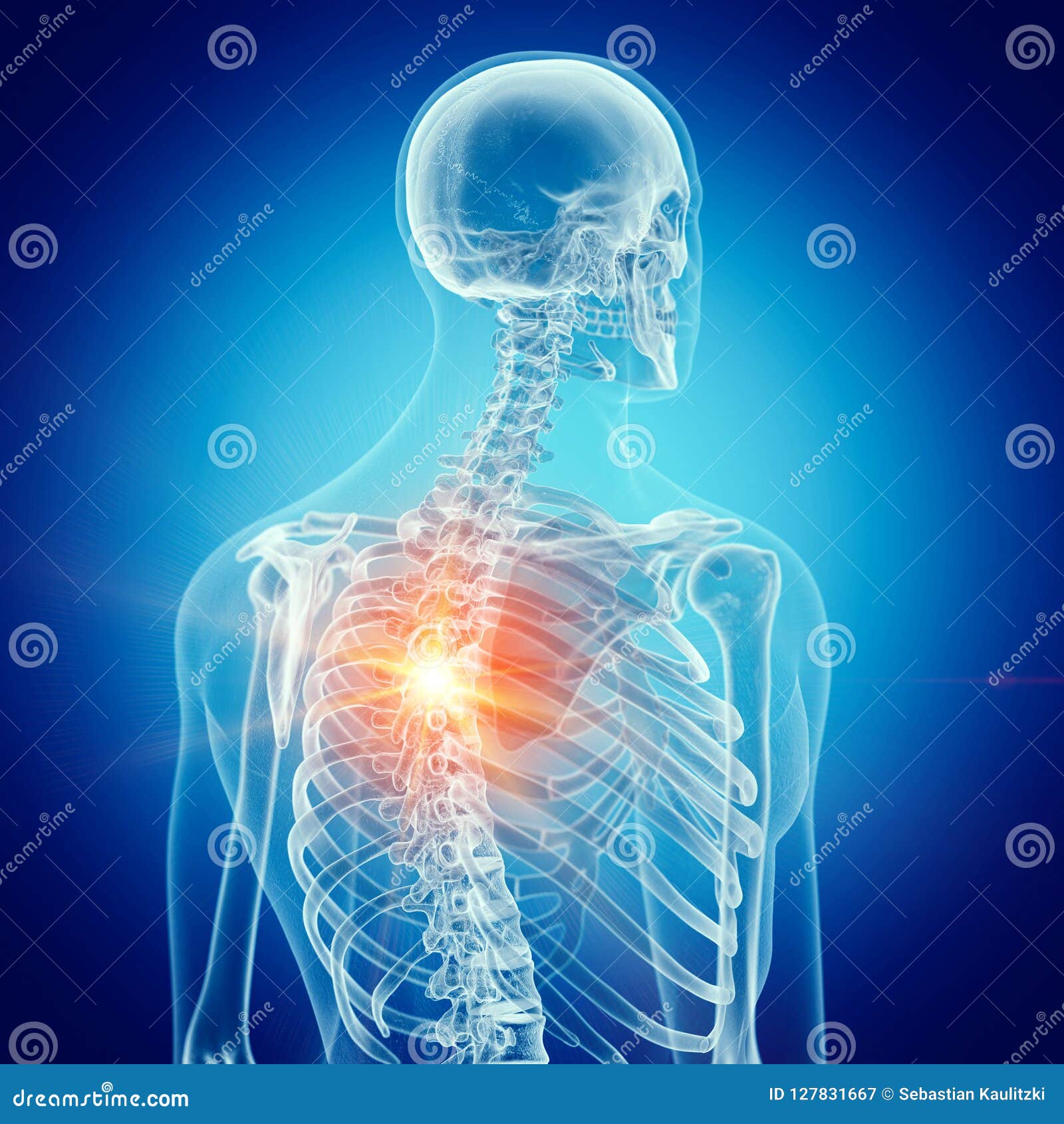 Backache stock illustration. Illustration of biology - 127831667