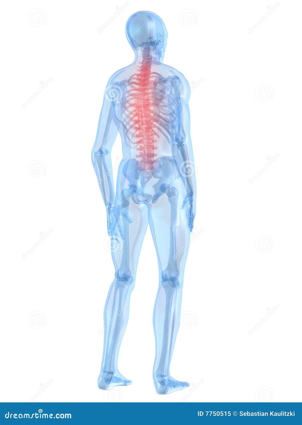 Backache illustration stock illustration. Illustration of biology - 7750515