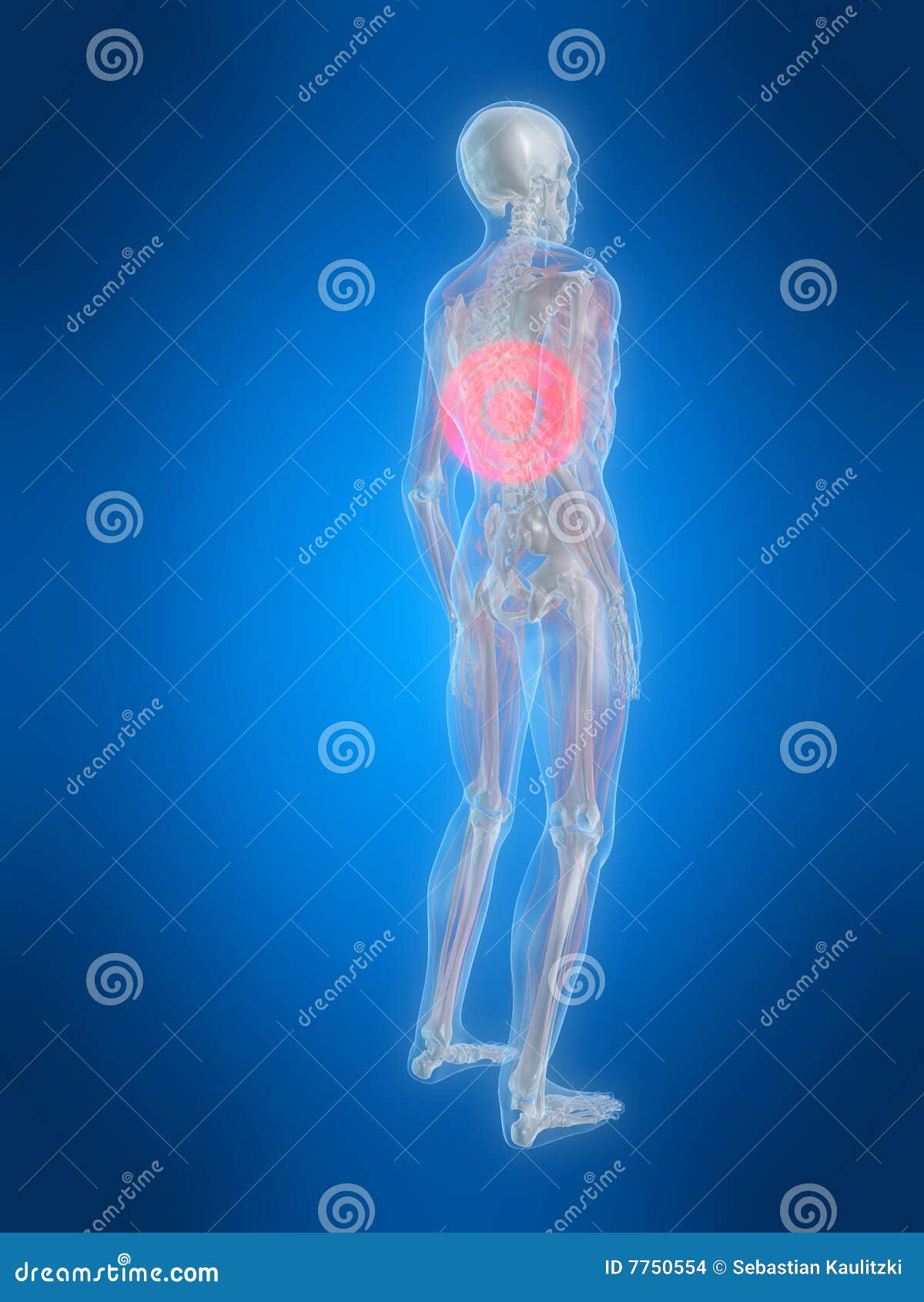 Backache illustration stock illustration. Illustration of science - 7750554