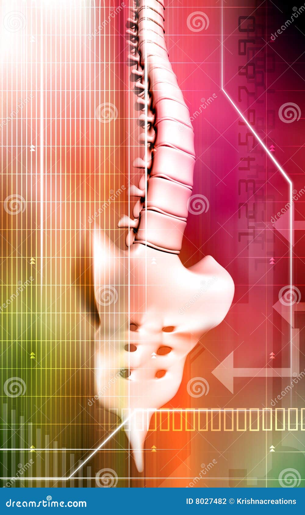 Backbone stock illustration. Illustration of imagination - 8027482