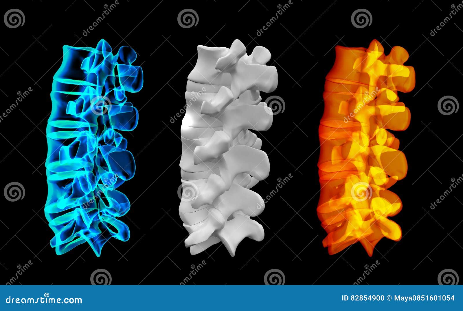 Backbone stock illustration. Illustration of three, spine - 82854900