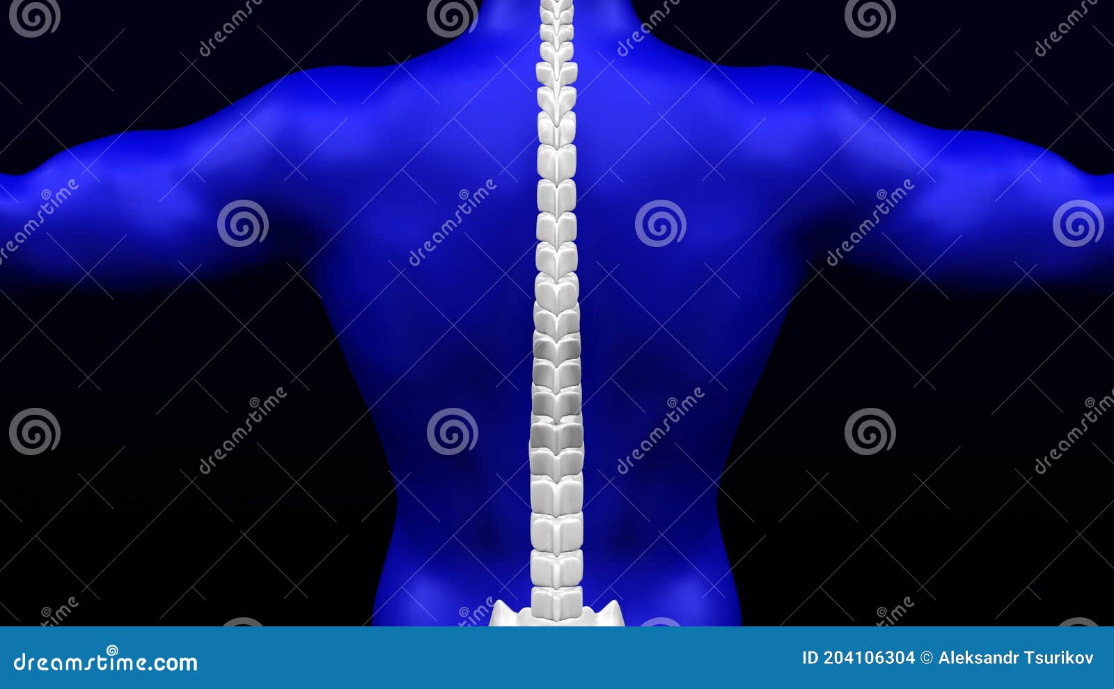 Backbone. 3D rendering stock illustration. Illustration of ...