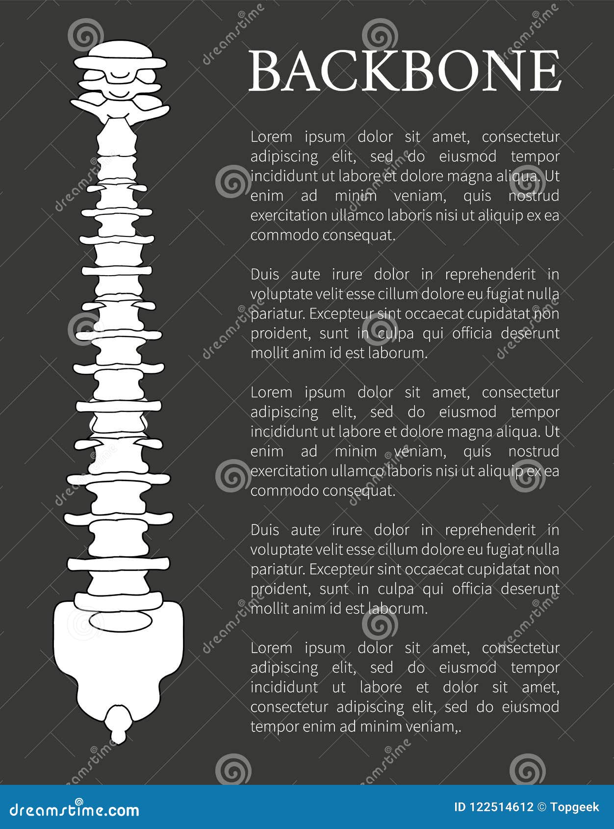 Backbone Poster and Text, Vector Illustration Stock Vector ...