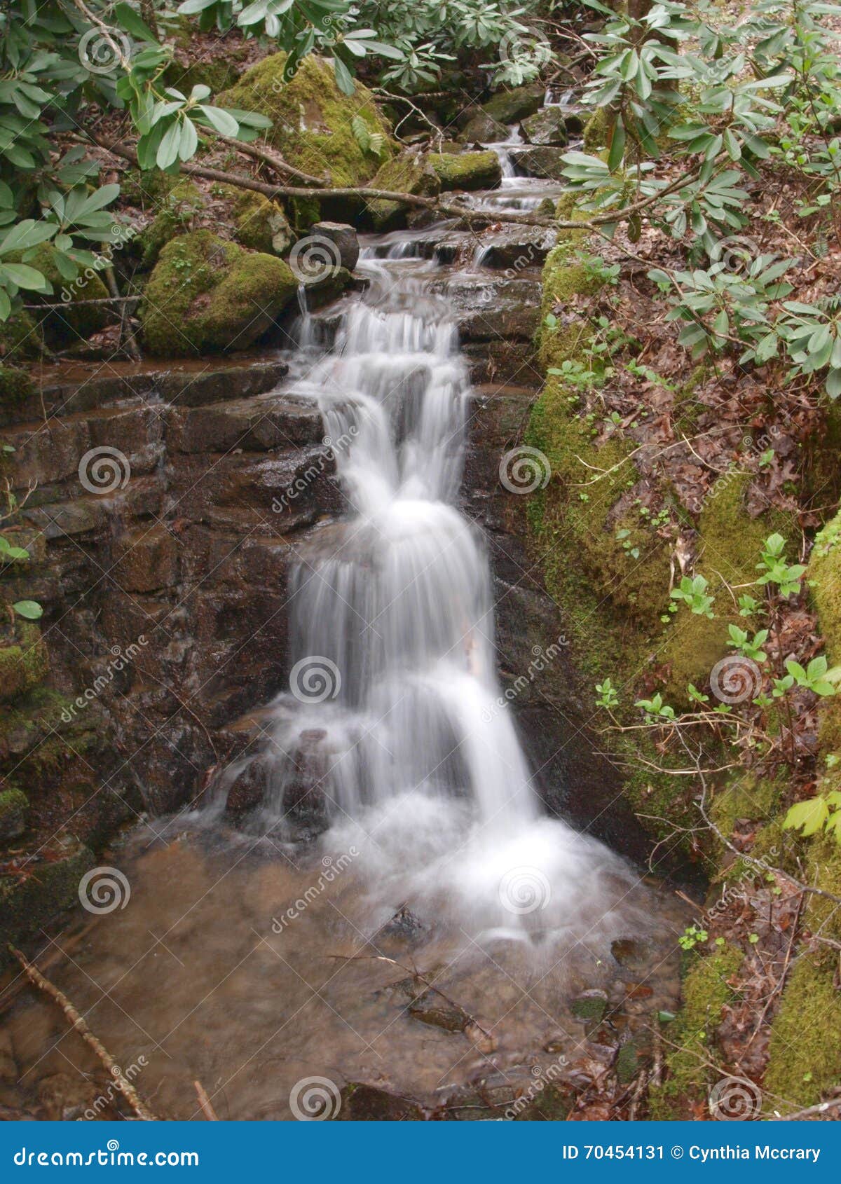 Backbone Rock Falls stock image. Image of flow, leaves - 70454131