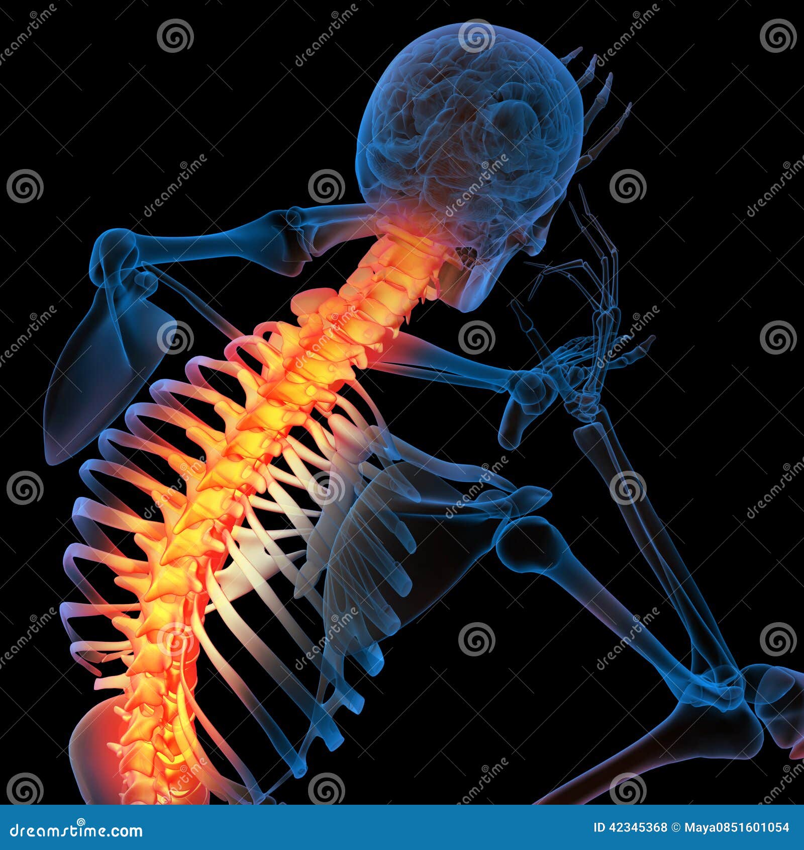 Backbone stock illustration. Illustration of back, healthcare - 42345368