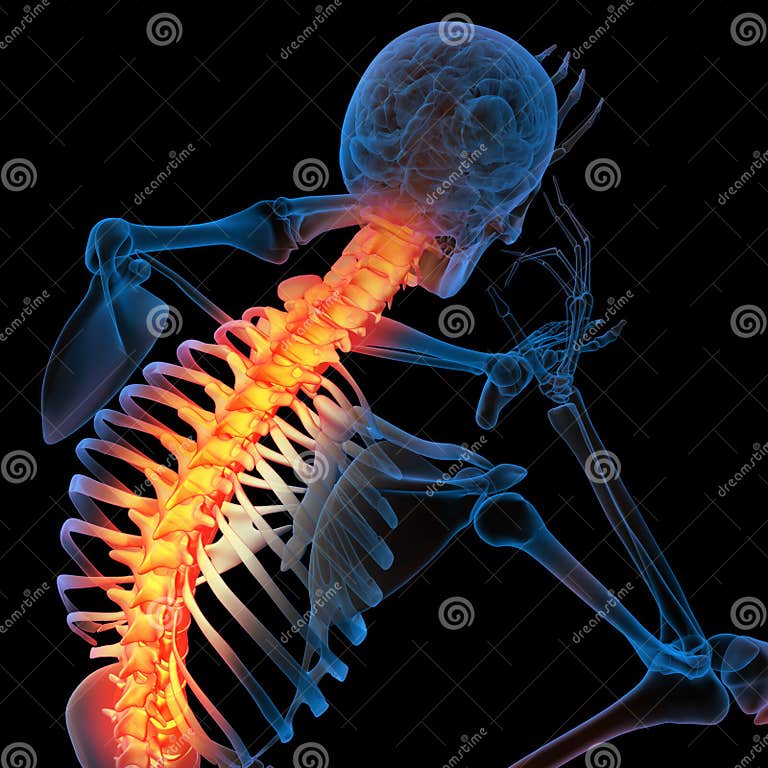 Backbone stock illustration. Illustration of back, healthcare - 42345368