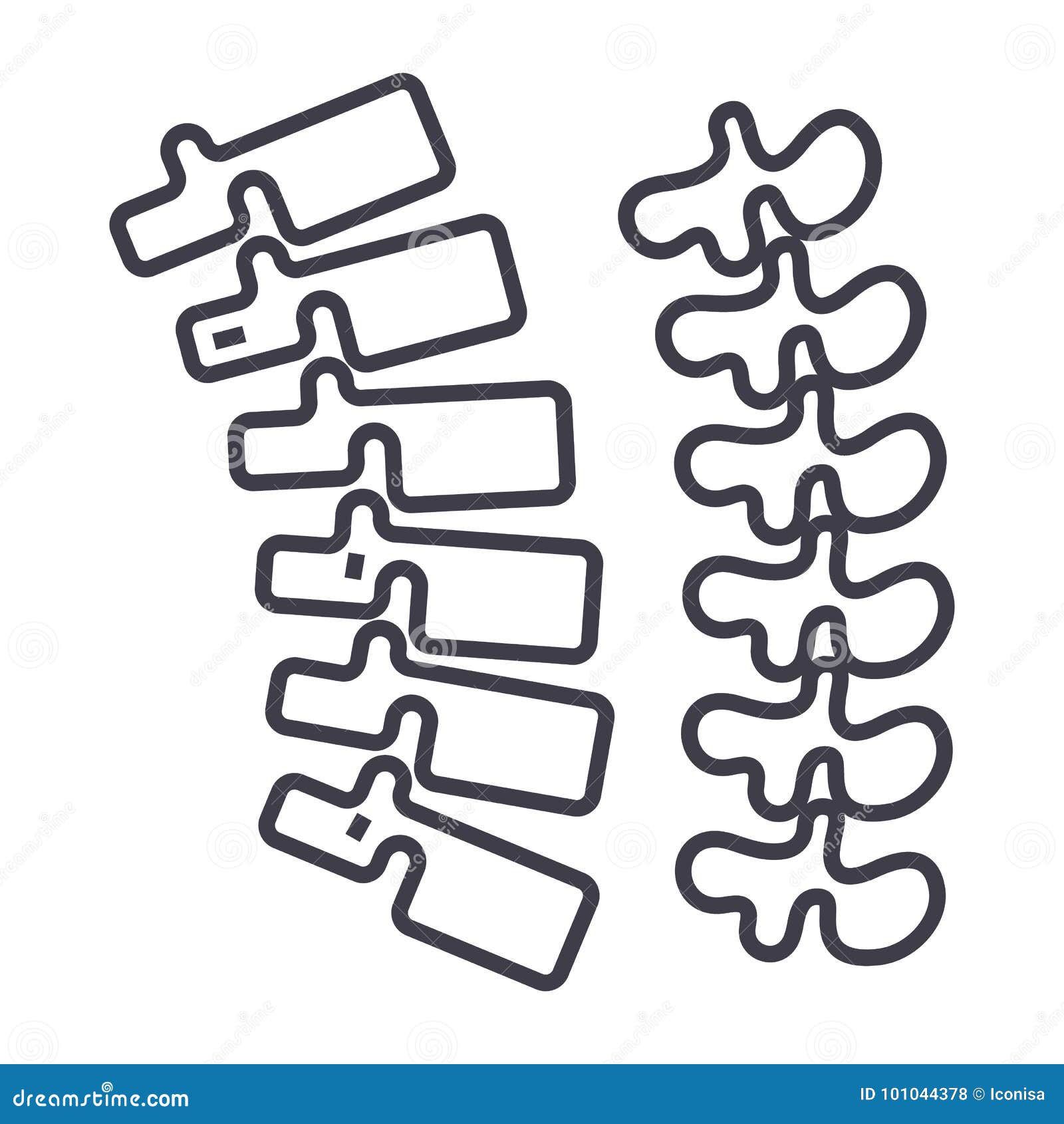 Backbone Spine In A Man Shape For Logo Design Illustration On A White ...