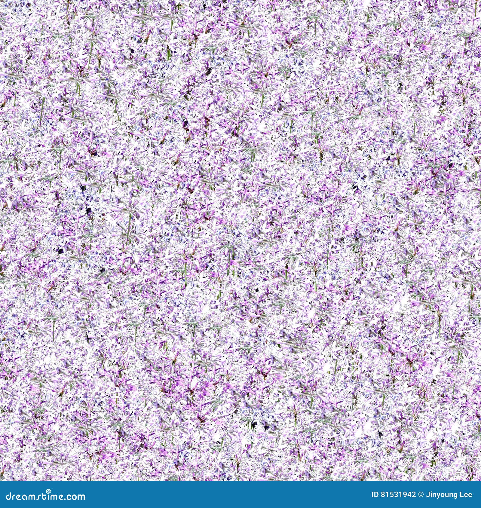 Backdrop stock photo. Image of pink, lilac, backdrop - 81531942