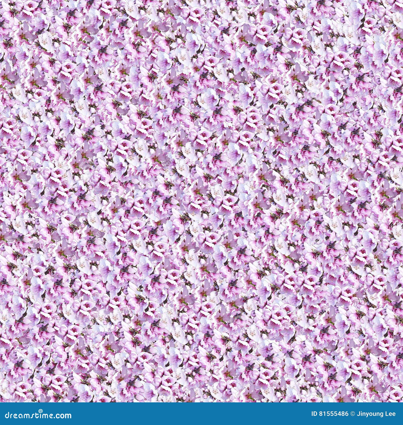 Backdrop stock photo. Image of pink, lilac, textile, flower - 81555486