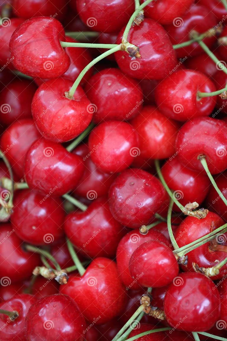 Backdrop of cherries stock photo. Image of cherries, background - 5422080