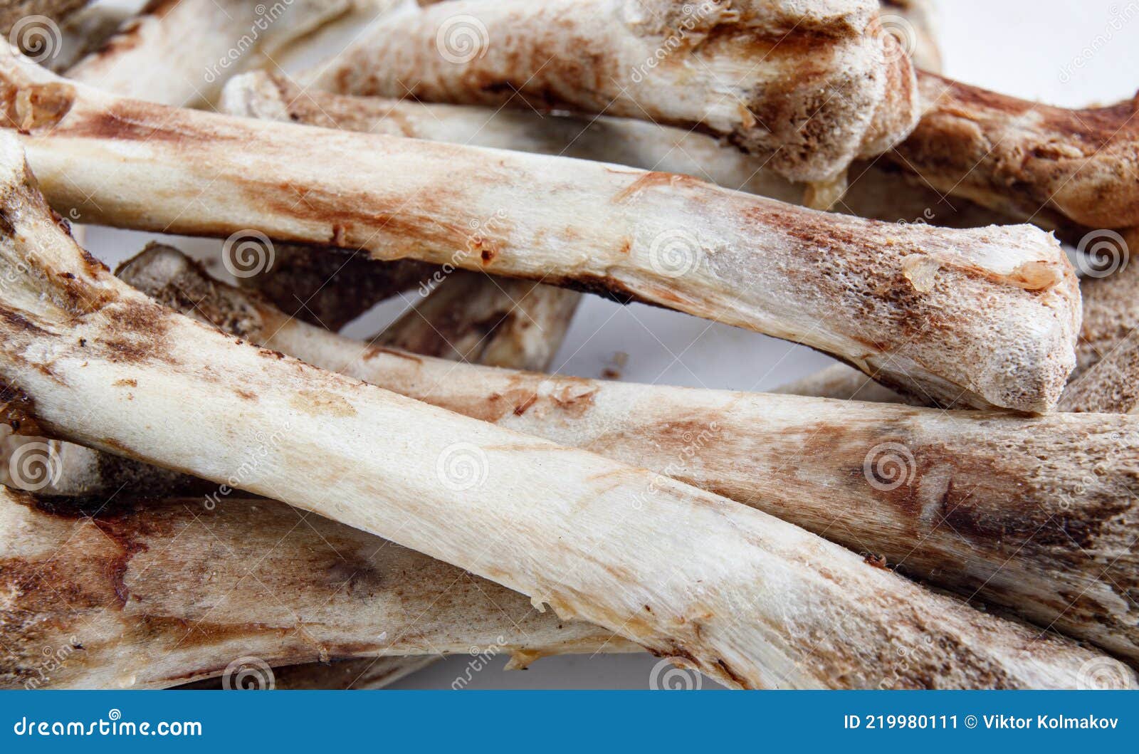 A Backdrop of Chicken Bones. Chicken Bones Stock Image - Image of ...