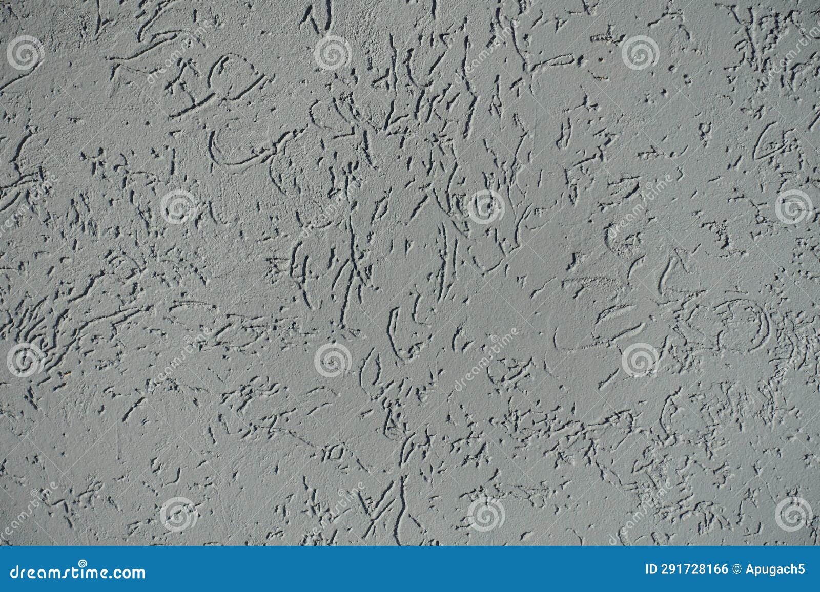 Backdrop - Gray Wall with Stucco Worm Swirl Finish Stock Photo - Image ...