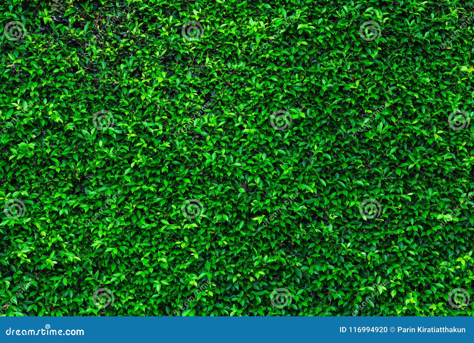 Green Wall Texture. Green Concrete Texture. Illuminated Green Yellow ...