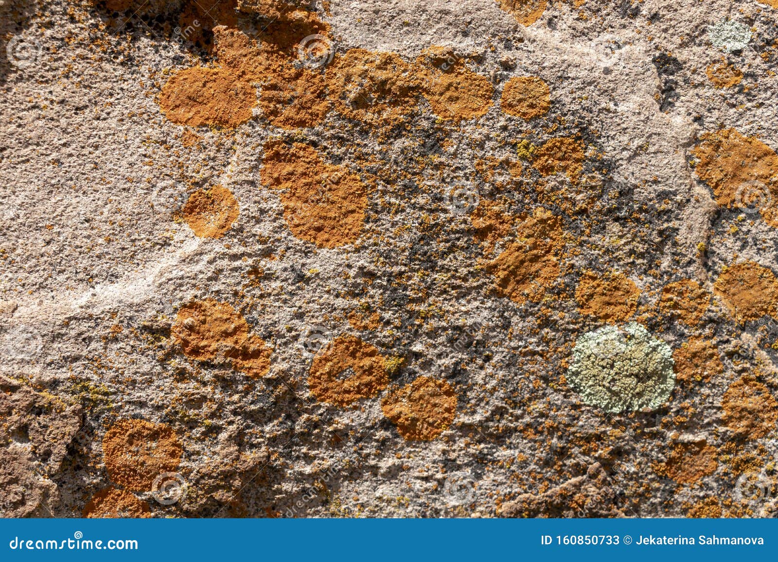 Backdrop of Rough Stone Surface Outdoors Natural Background with Copy ...