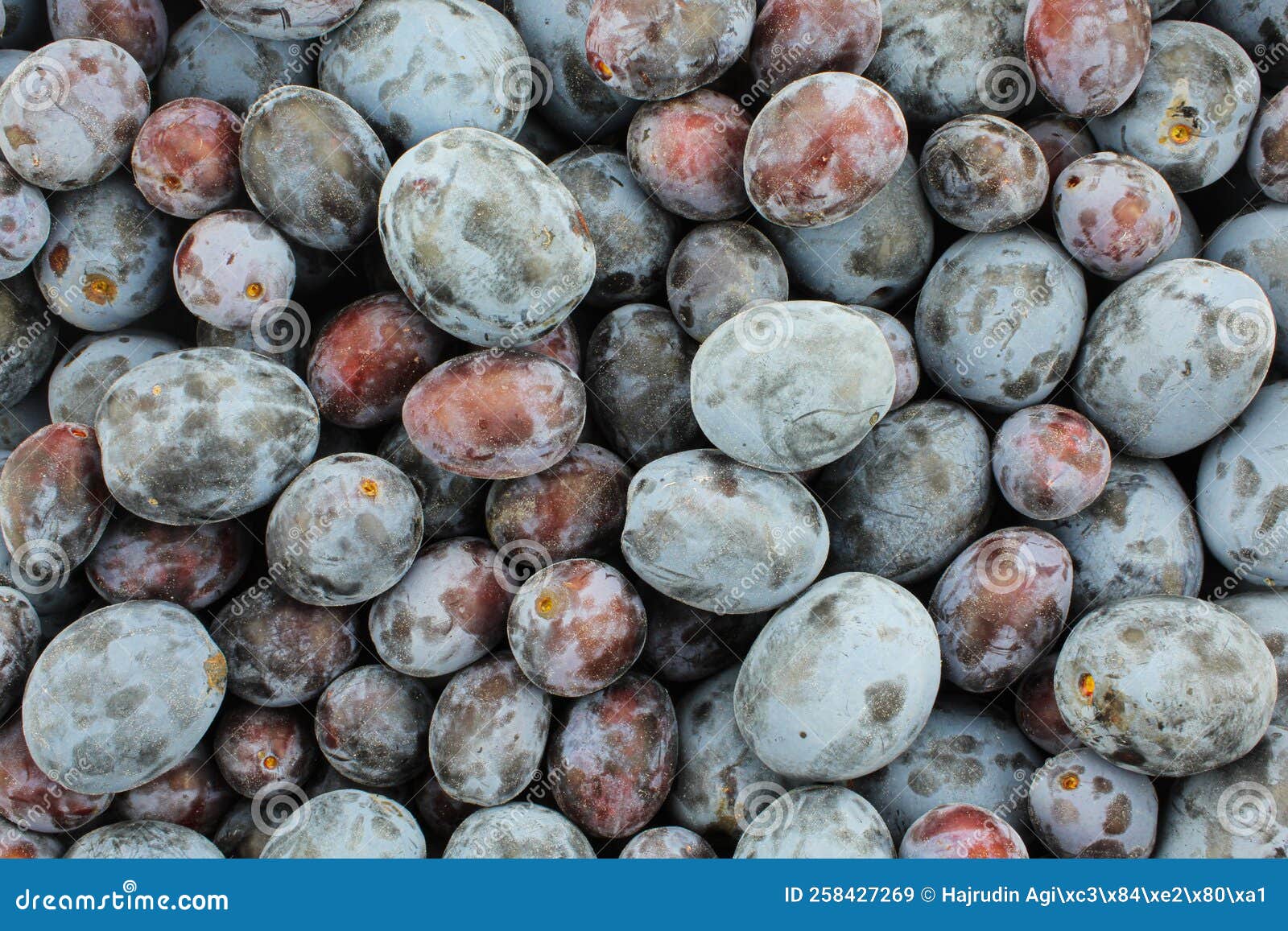 Backdrop Texture Background of Sweet Fresh Plums Stock Image - Image of ...