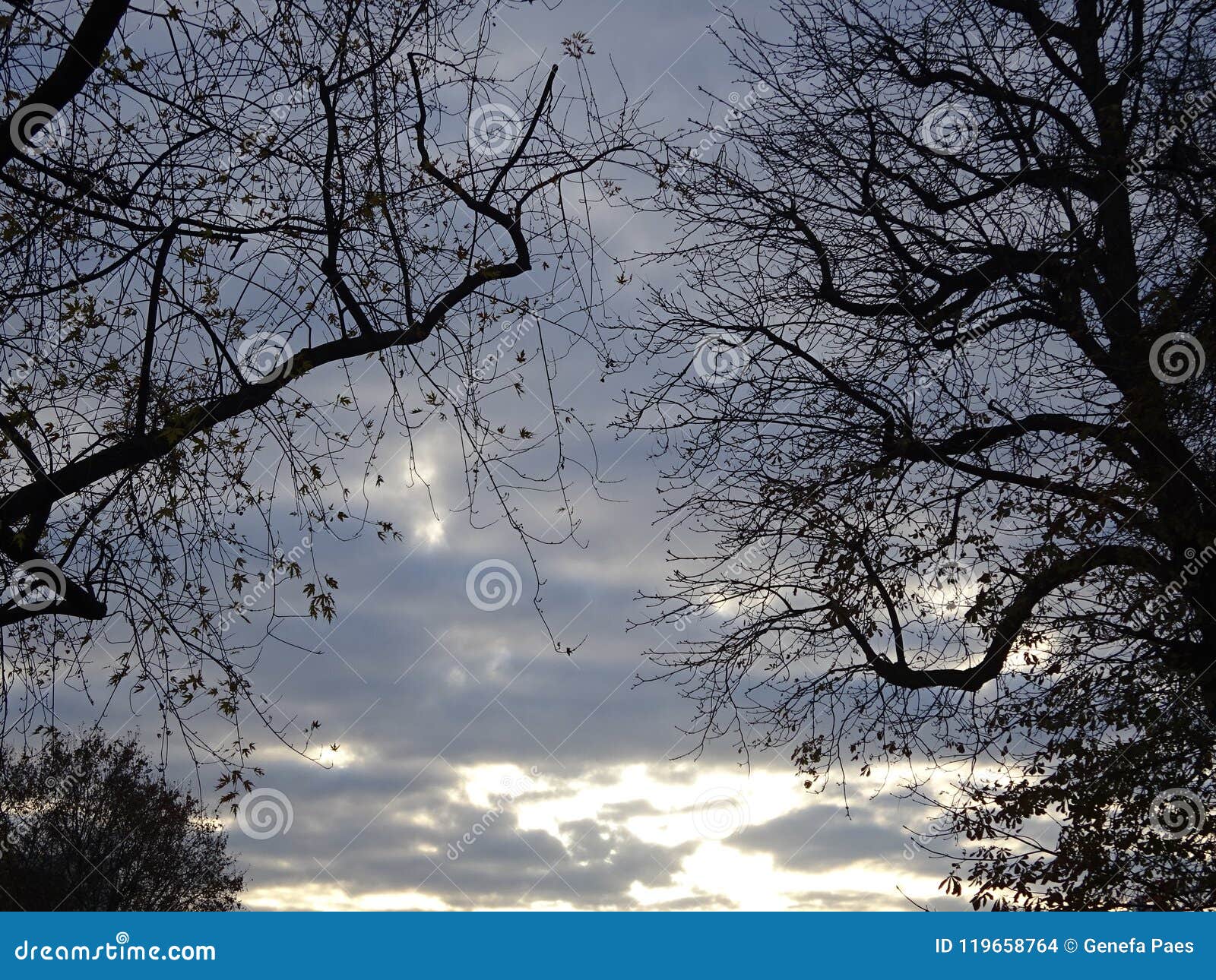 Autumn Trees and Sky - Images of Paris Stock Photo - Image of autumn ...