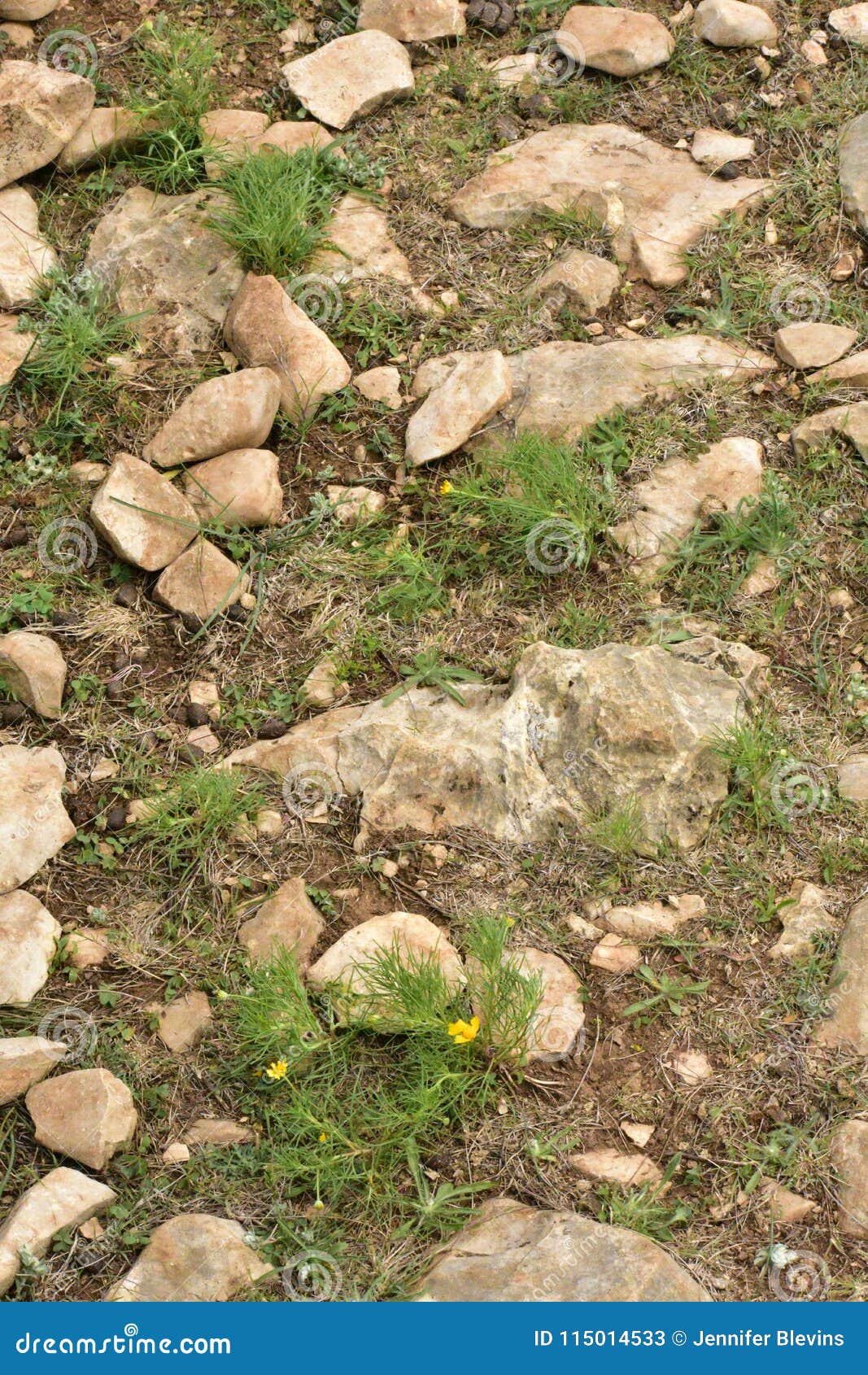 White Rocks in the Ground Backdrop Stock Image - Image of detail ...