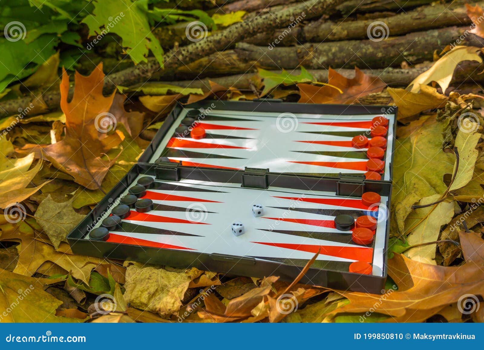 Backgammon Layout Stock Photos - Free & Royalty-Free Stock Photos from ...