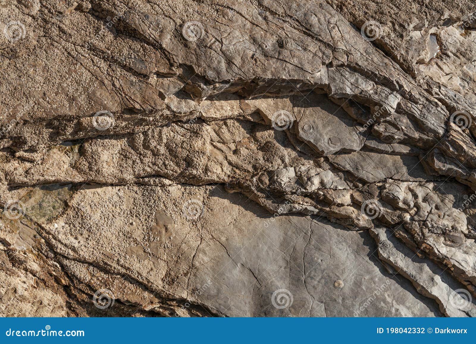 Backgound Texture of Tiny Sea Shells on the Slippery Limestone ...