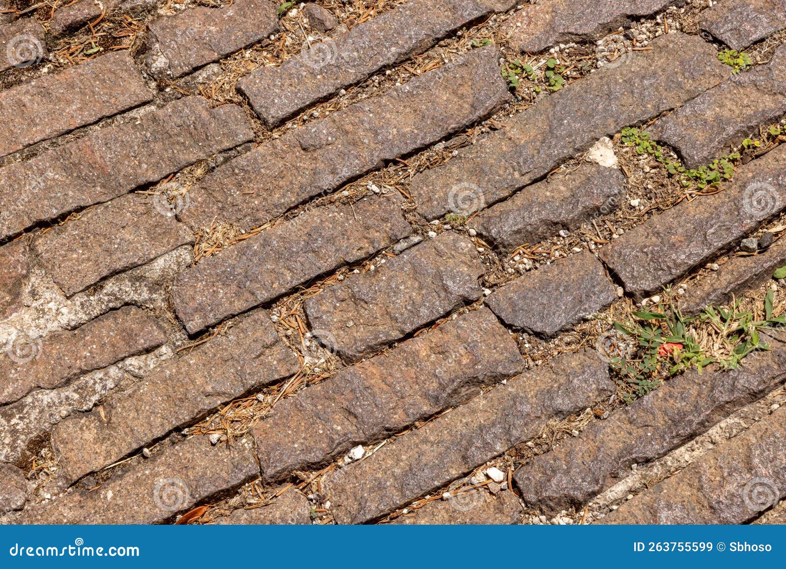 Pavement Close Up of Historic Rectangular Brown Stones Stock Image ...