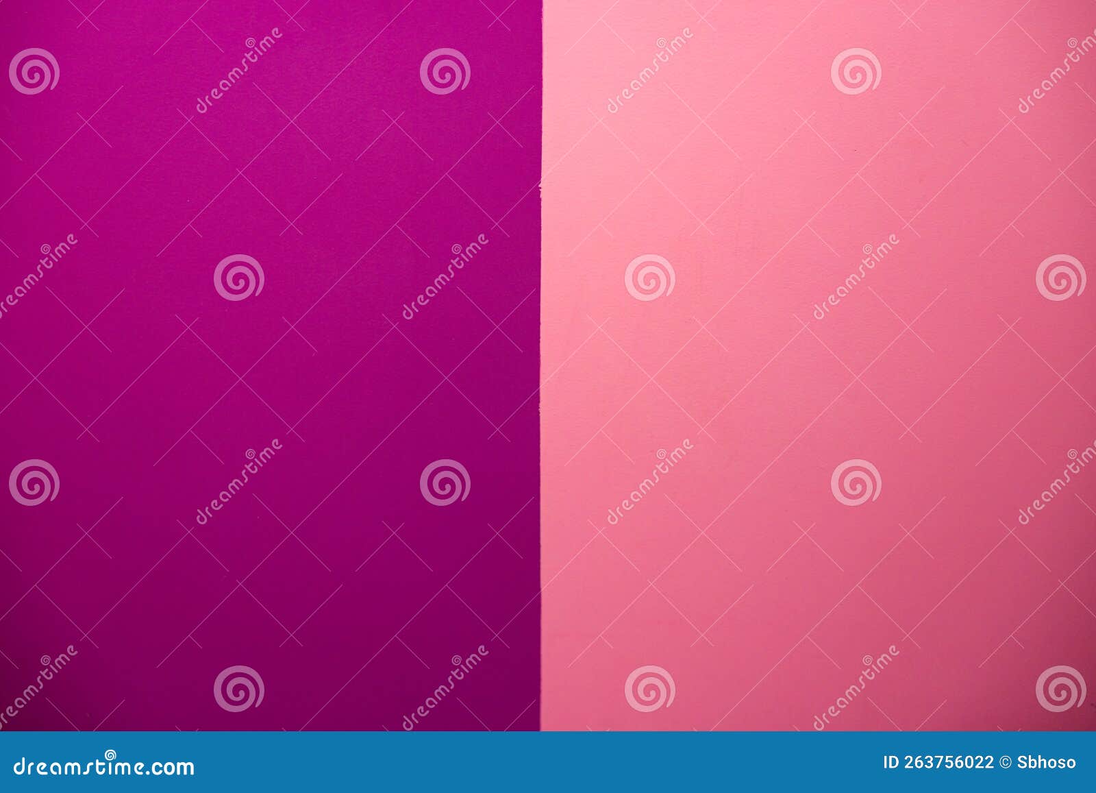 Equally Vertically Divided Smooth with Gradient Bright and Contemporary ...