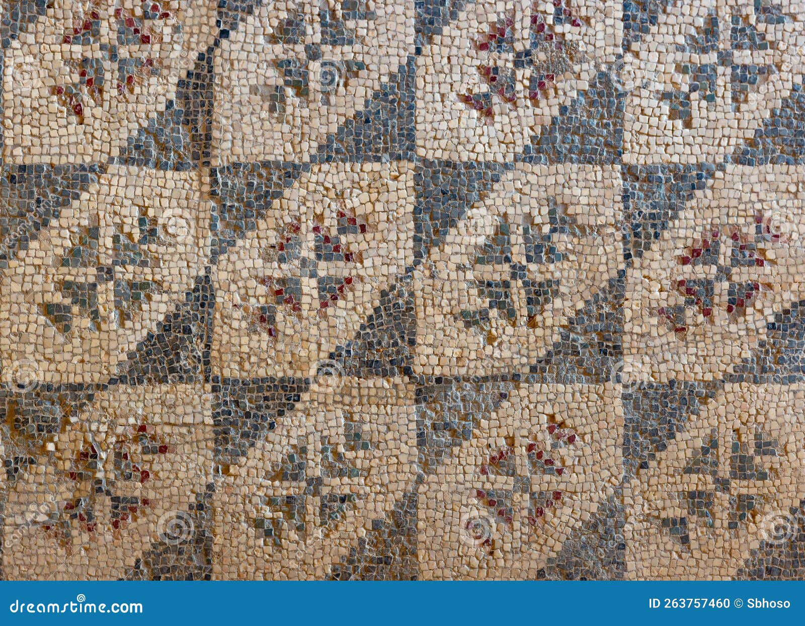 Geometrical Earth Tone Patterned Historical and Detailed Roman Mosaic ...
