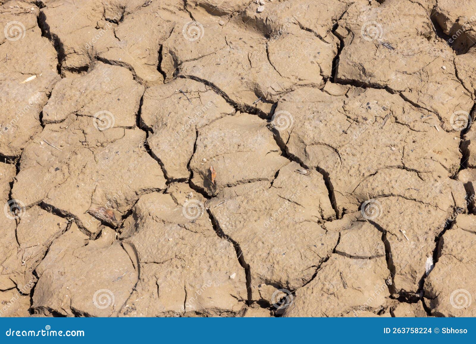 Drought Light Color Argilla Soil with Large Cracks Background Close Up ...